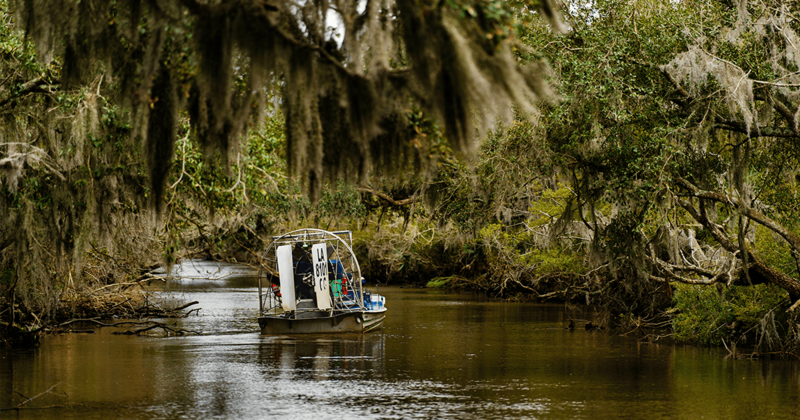 Outdoor Adventures Around New Orleans | Latter & Blum