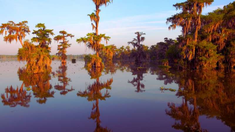 Latter & Blum REALTORS® Blog