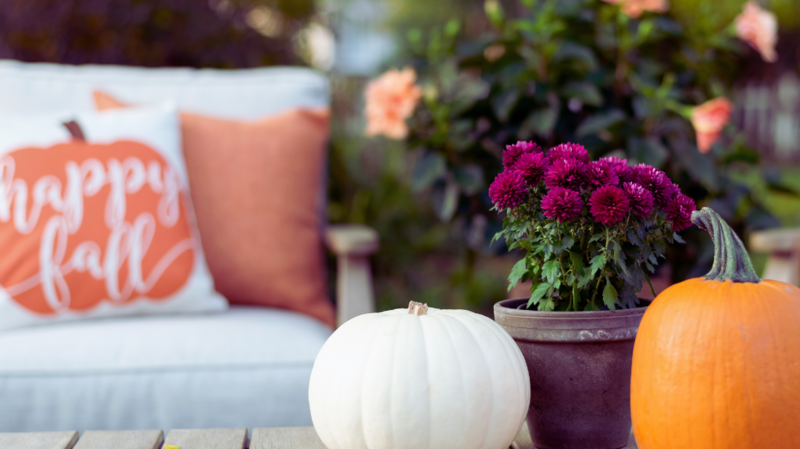 Creating a Cozy Outdoor Living Space for Fall Gatherings | Latter & Blum