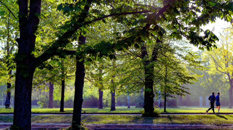 Moncus Park: Events and Things to do This Summer | Latter & Blum